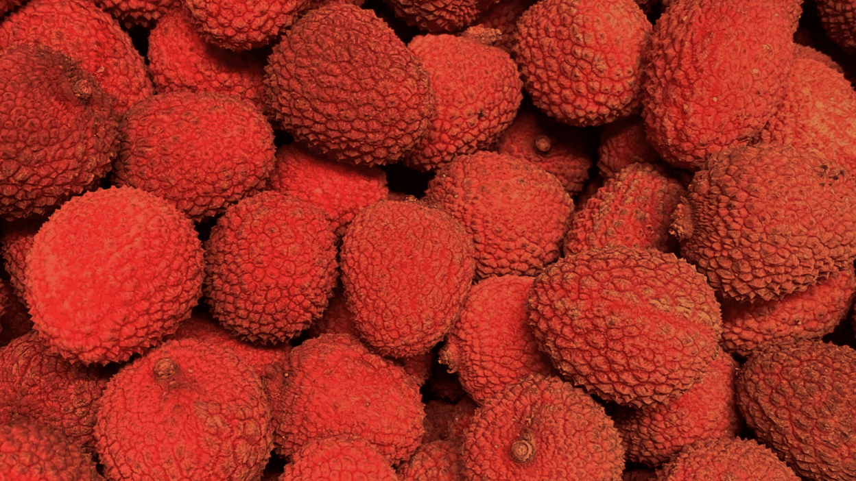 5 Tips for Going Back to School Later in Life | Growing Bolder®