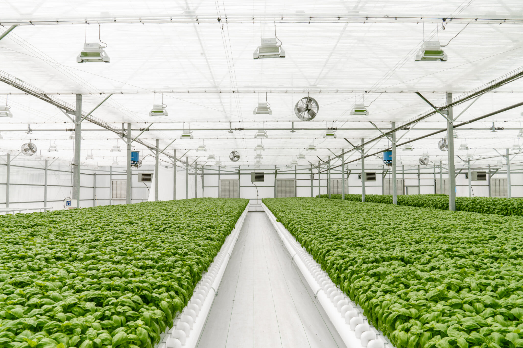 A Growing Passion - Growing Bolder®